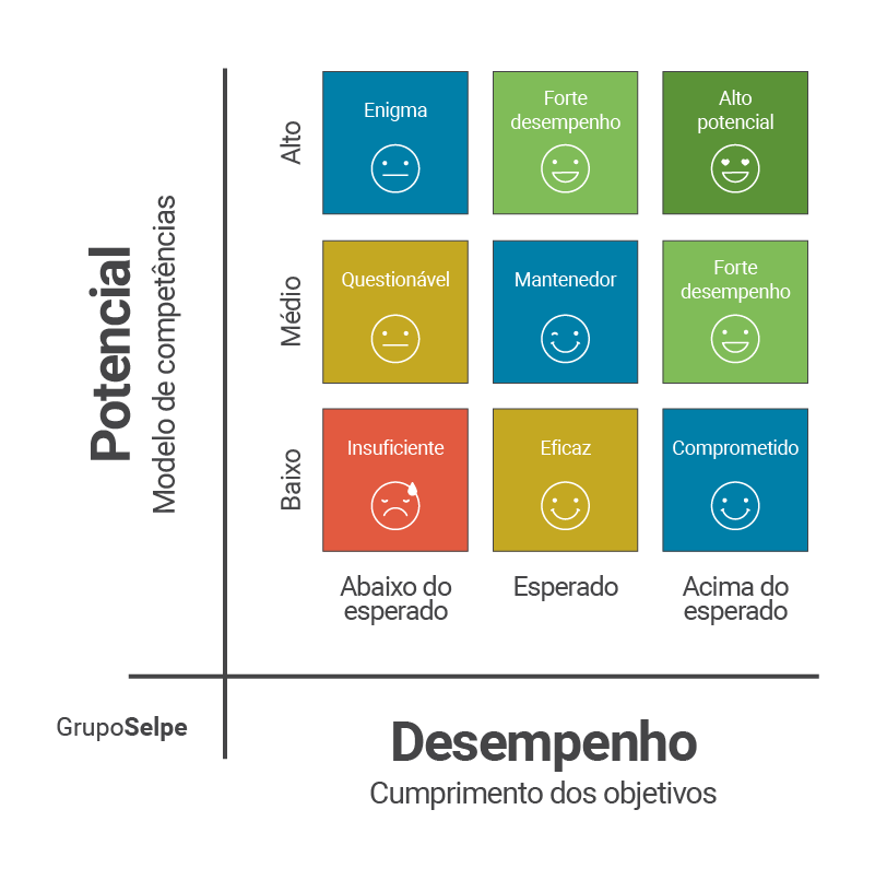 O que é Nine Box? Entenda como funciona e seus objetivos - Grupo Selpe